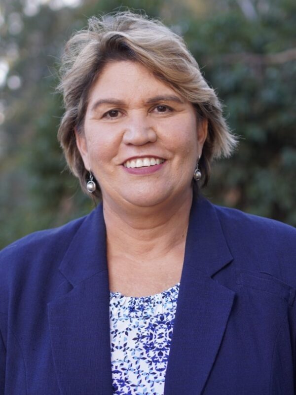 Liberal Kerrynne Liddle elected as first Indigenous senator from South ...