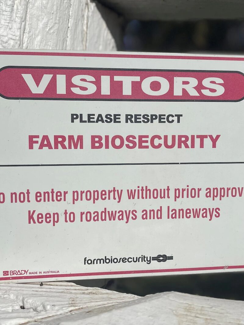There's more to worry about than just FMD. Here are Australia's 'clear ...