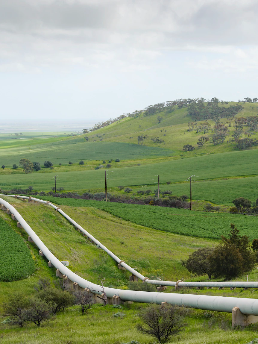 Major pipeline project paused to protect 20 newly listed threatened ...
