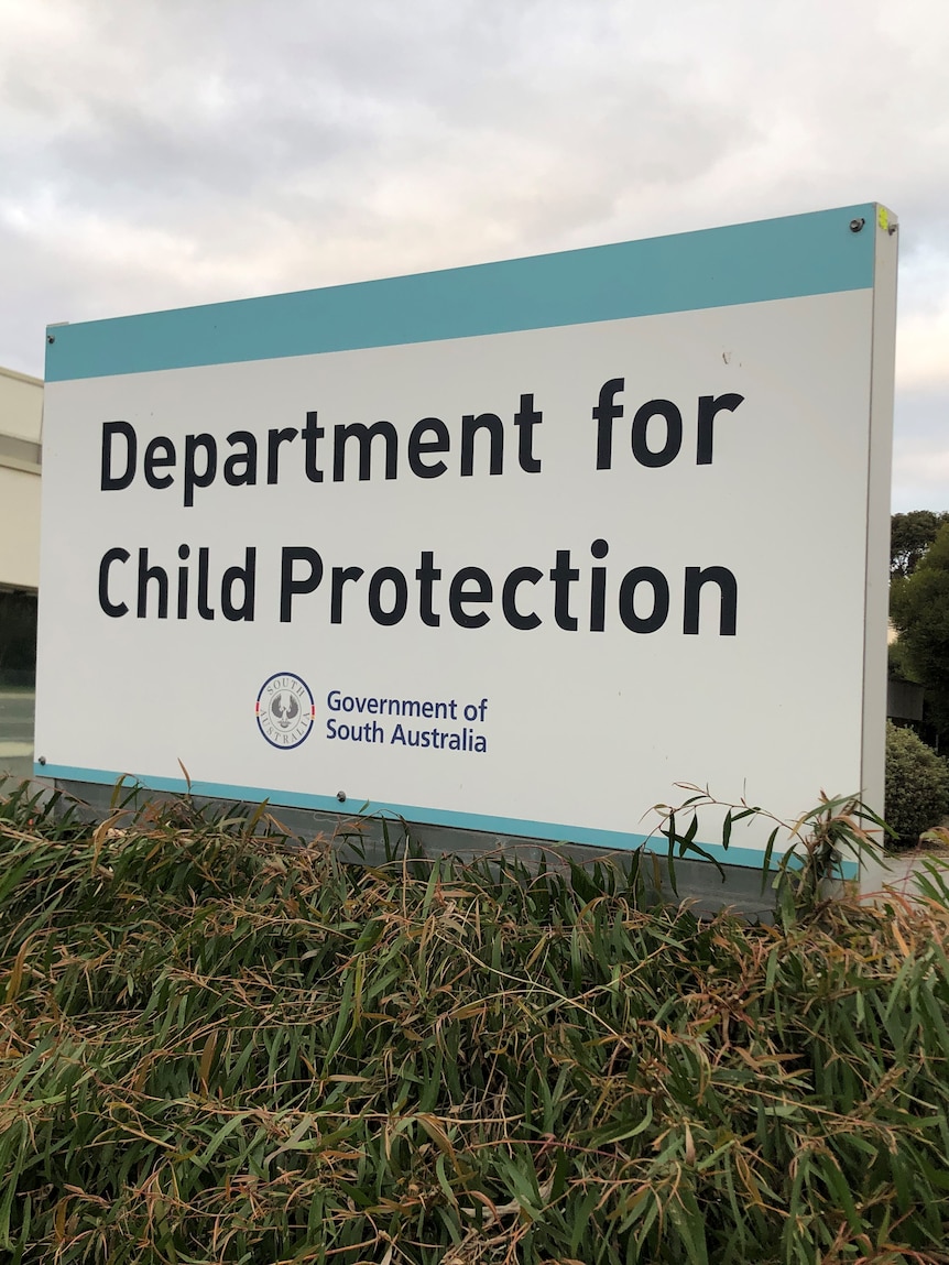 SA report finds 500 children in 'particularly high-risk settings' : SA ...