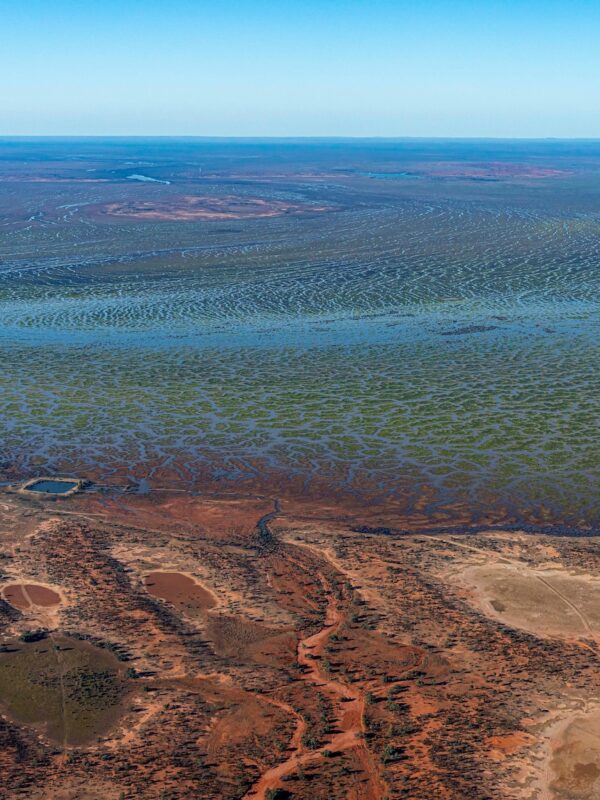 Santos confirms gas pipeline explosion in SA, as anger erupts over gas ...